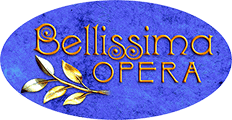Bellissima: About Bellissima Opera - Working In Concert